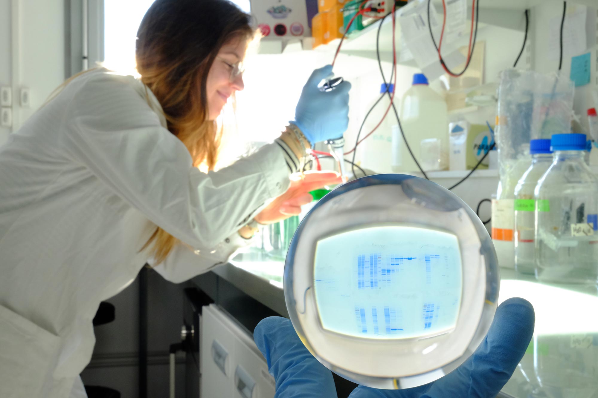 Research topics - LISM