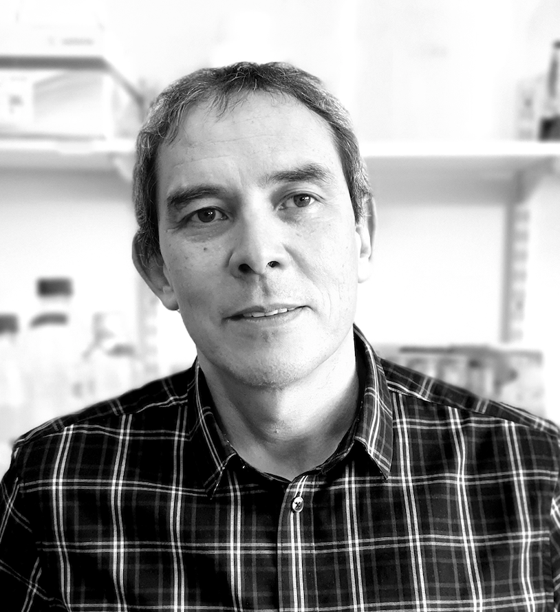 Alain Roussel - LISM