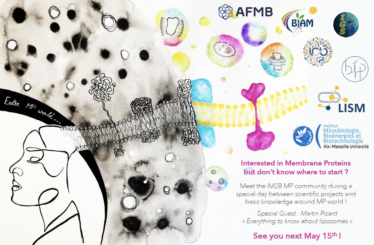 MP Day First Edition! - LISM