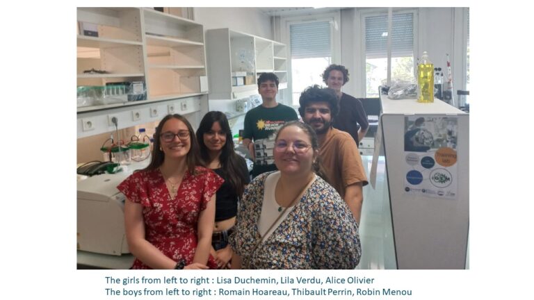 iGEM Team 2024 – Bac’attack project - LISM