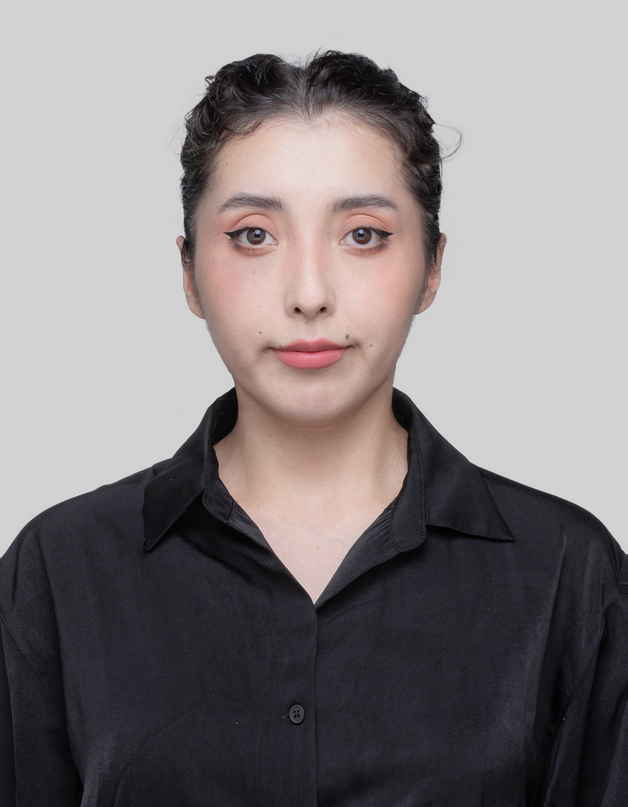 Eliana Andrea Sepulveda-Ramos - LISM